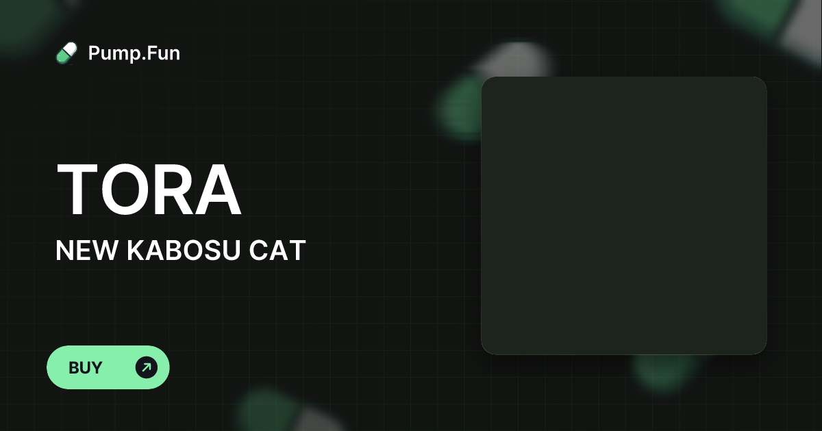NEW KABOSU CAT (TORA) - Pump