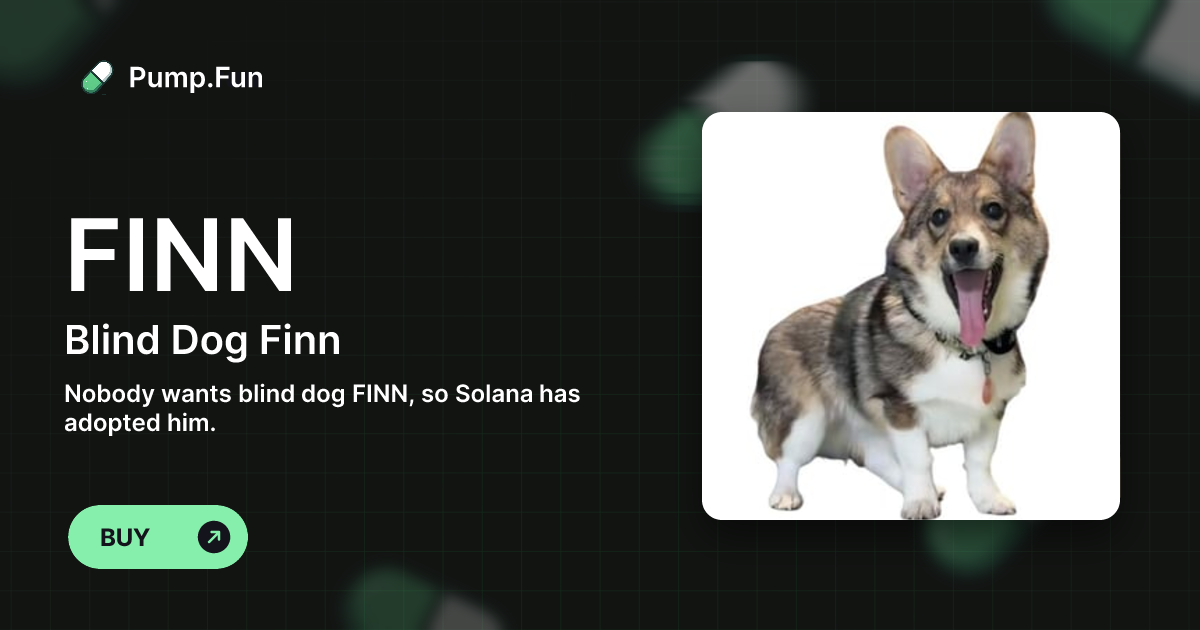 Blind Dog Finn (FINN) - Pump