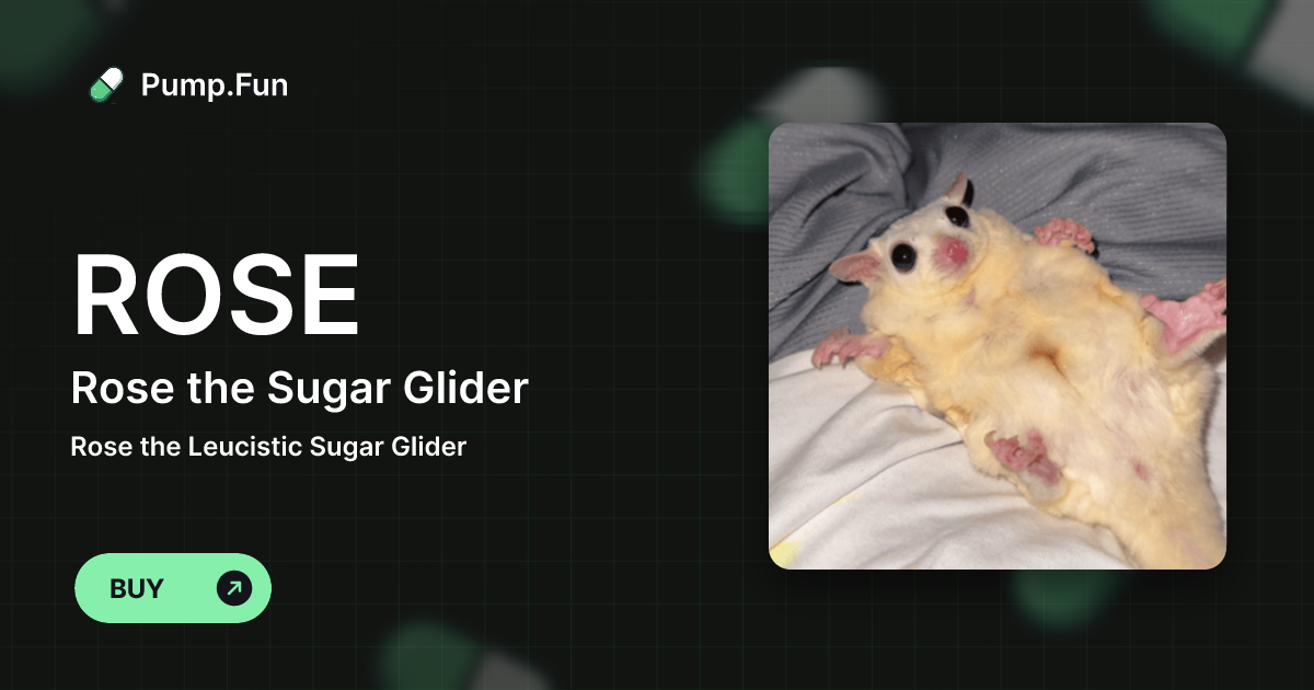 Rose the Sugar Glider (ROSE) - Pump