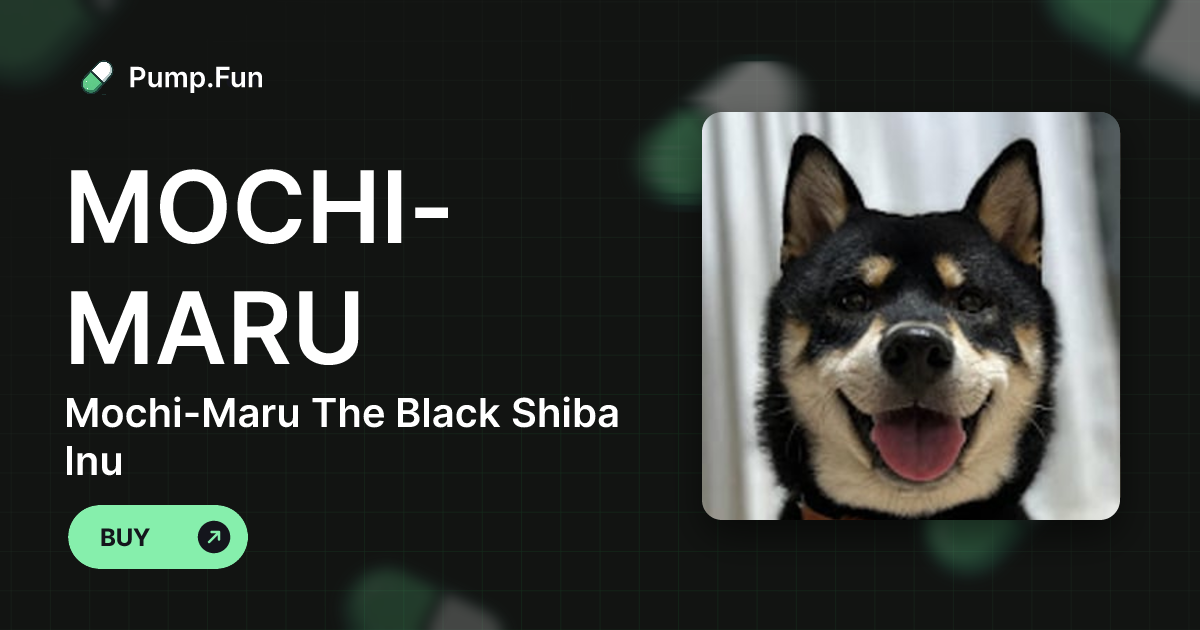 Mochi-Maru The Black Shiba Inu (MOCHI-MARU) - Pump