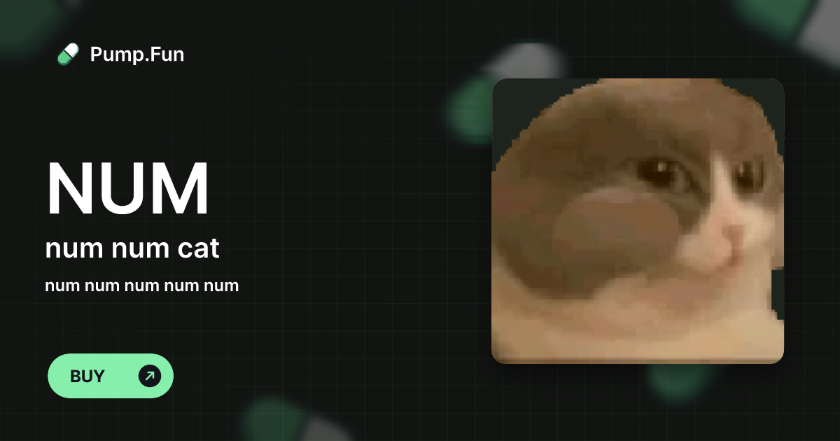 num num cat (NUM) - Pump