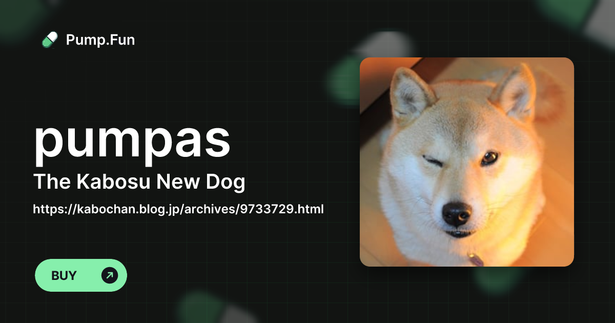 The Kabosu New Dog (pumpas) - Pump