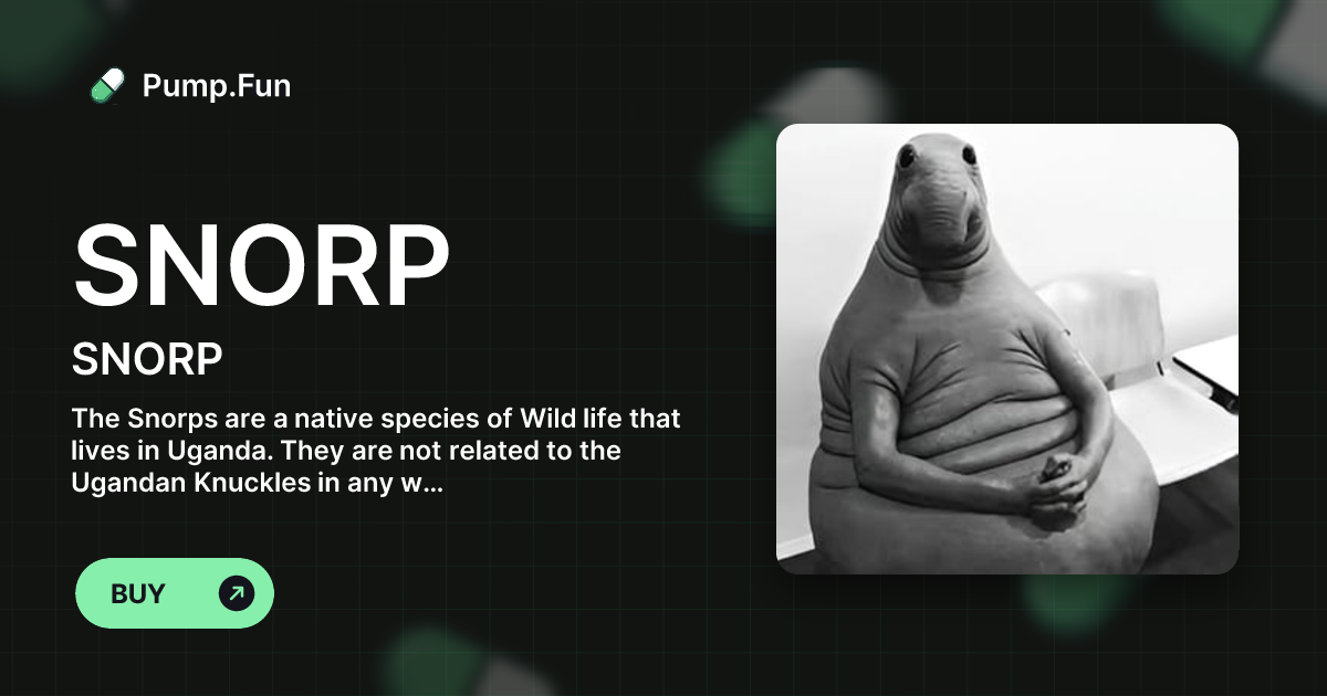 SNORP (SNORP) - Pump