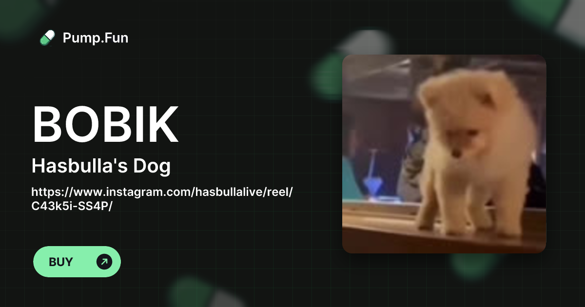 Hasbulla's Dog (BOBIK) - Pump