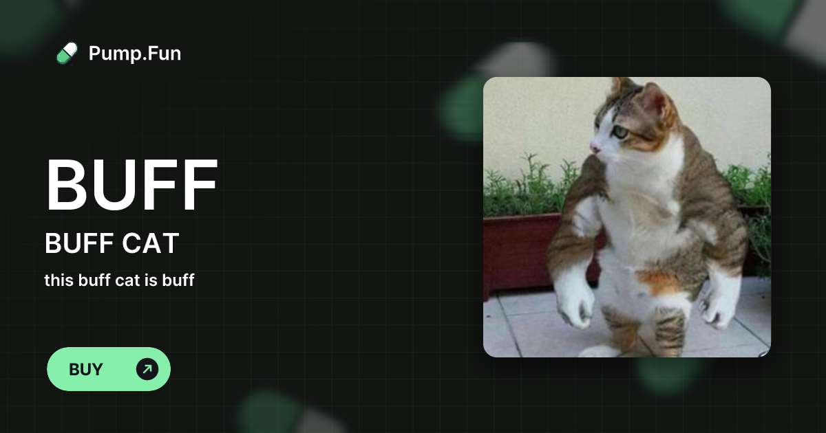 BUFF CAT (BUFF) - Pump