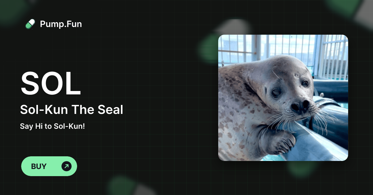 Sol-Kun The Seal (SOL) - Pump
