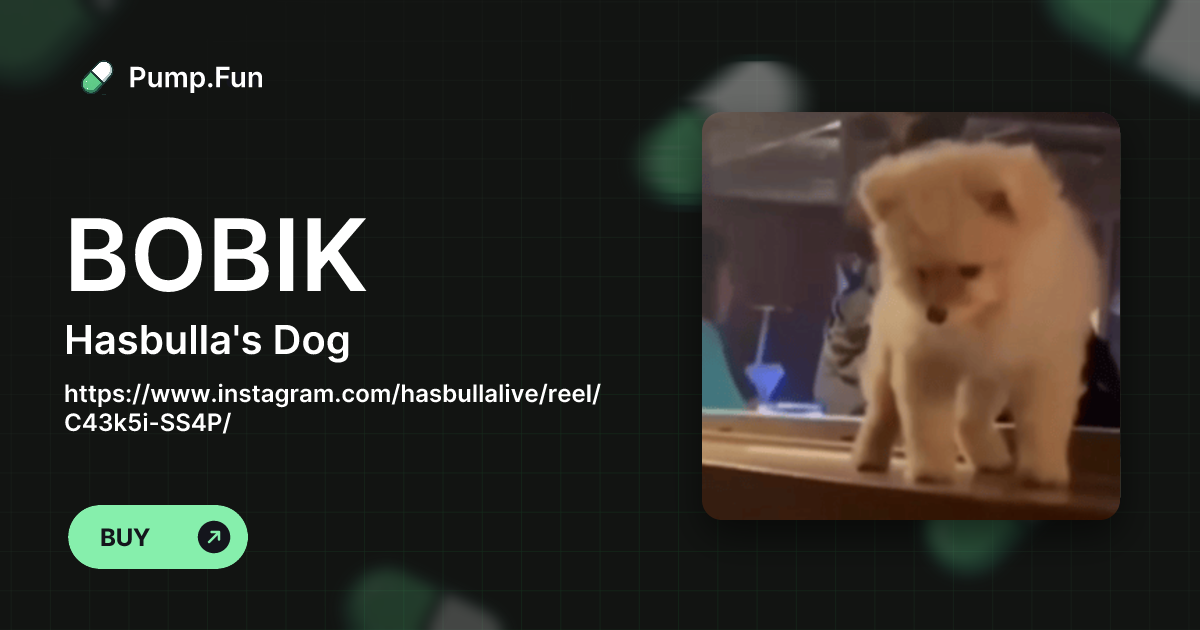 Hasbulla's Dog (BOBIK) - Pump