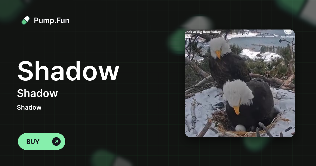 Shadow (Shadow) - Pump