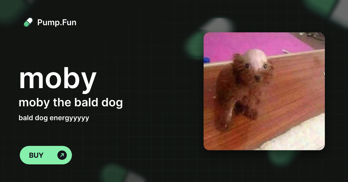 moby the bald dog (moby ) - Pump