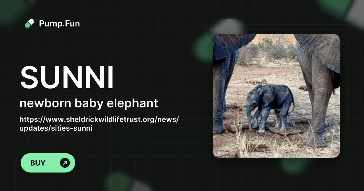 newborn baby elephant (SUNNI) - Pump