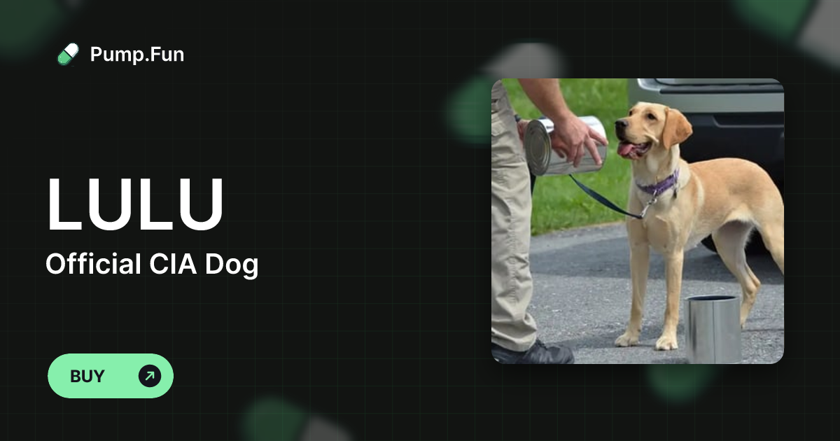 Official CIA Dog (LULU) - Pump