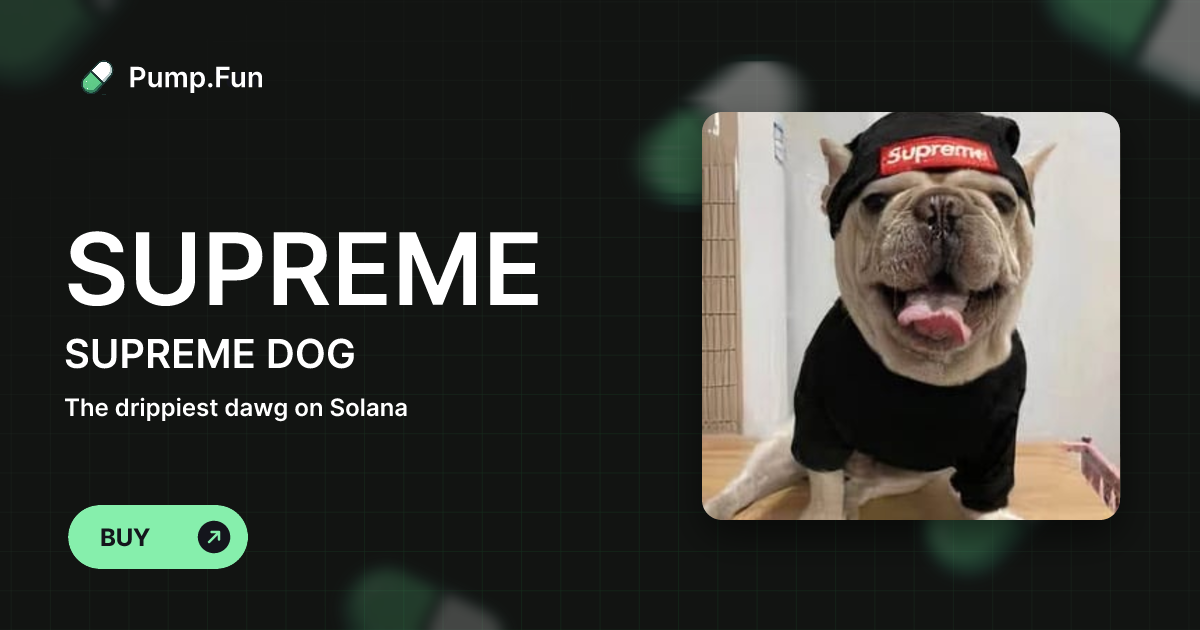 SUPREME DOG (SUPREME) - Pump