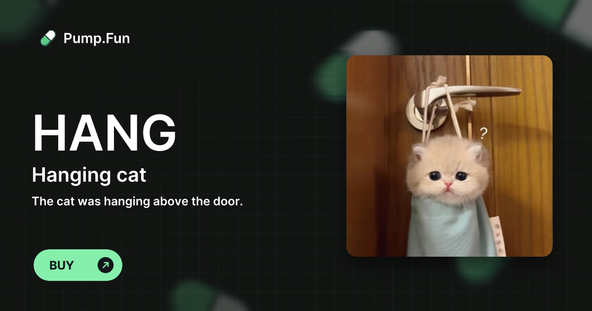 Hanging cat (HANG) - Pump