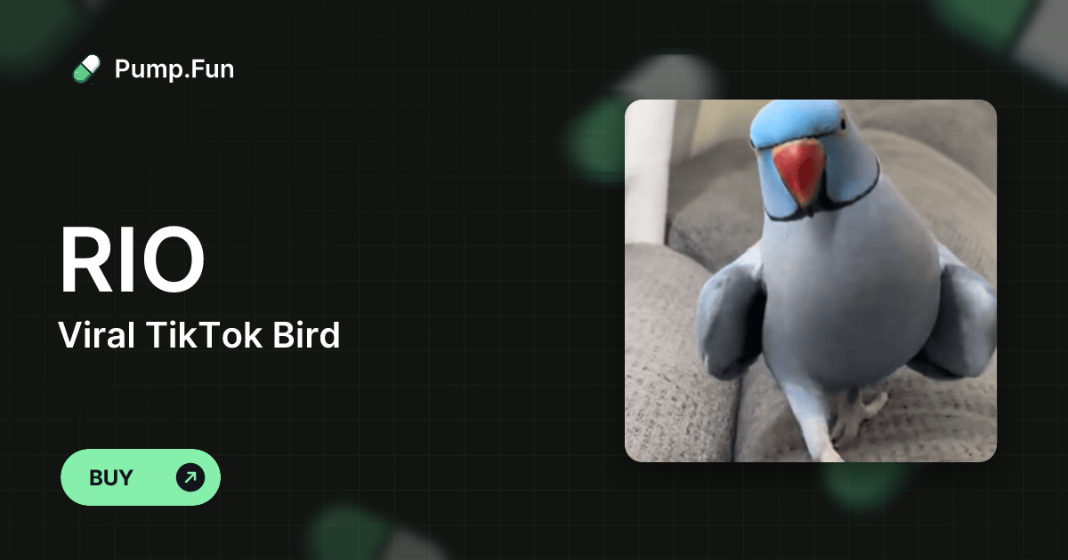 Viral TikTok Bird (RIO) - Pump
