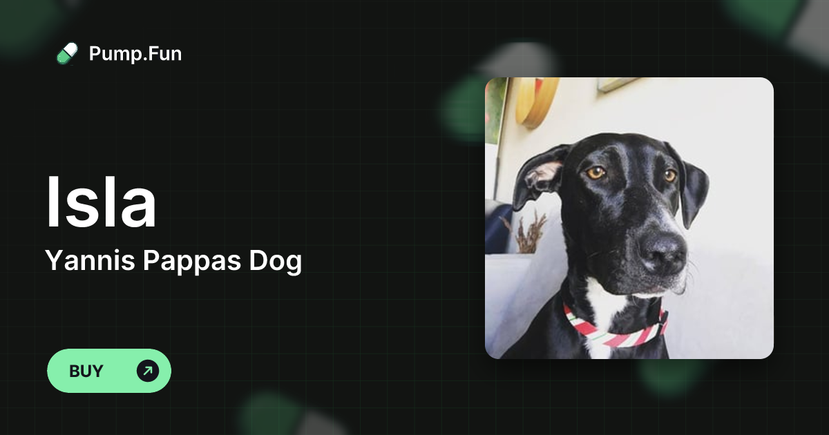 Yannis Pappas Dog (Isla) - Pump