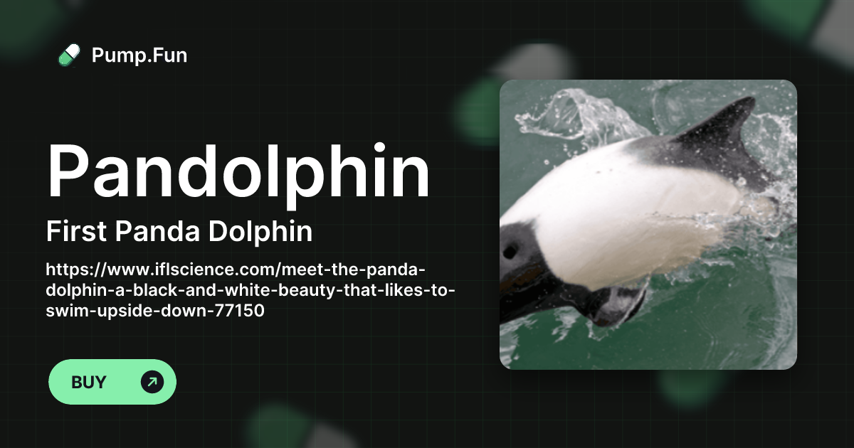 First Panda Dolphin (Pandolphin) - Pump