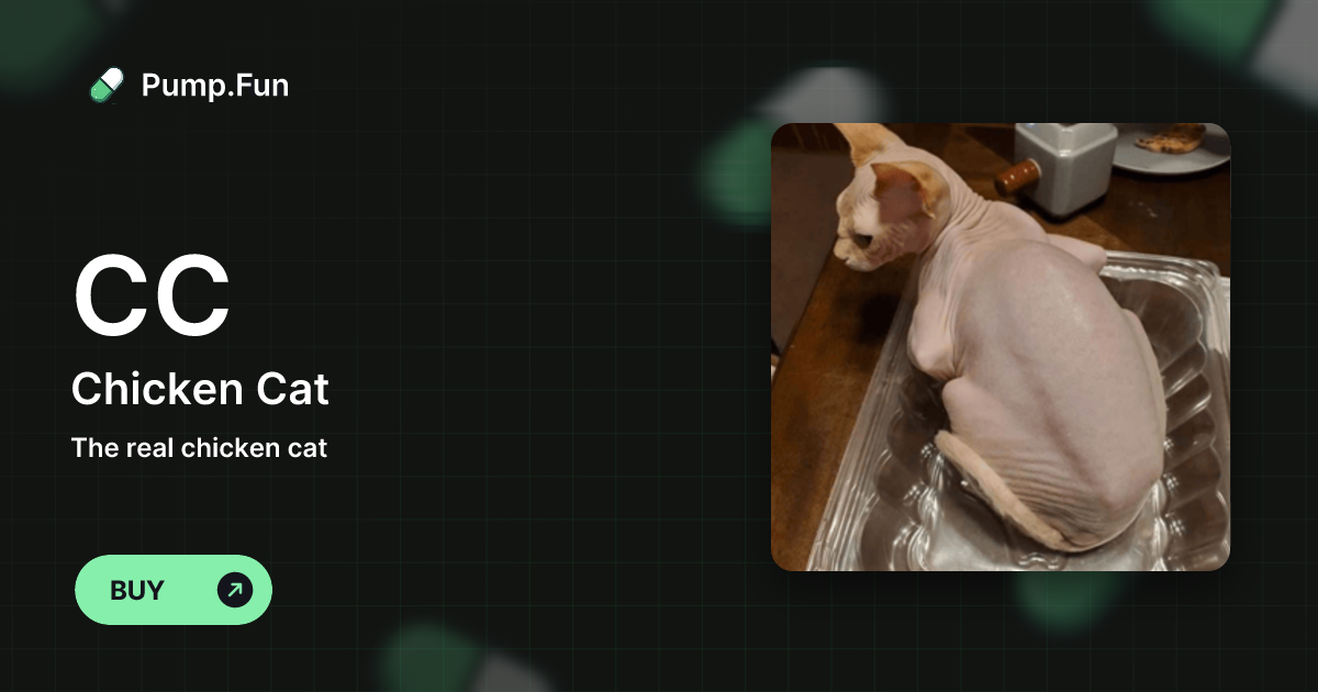 Chicken Cat (CC) - Pump