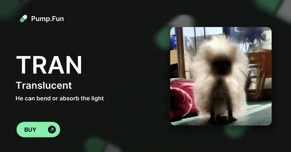 Translucent (TRAN) - Pump