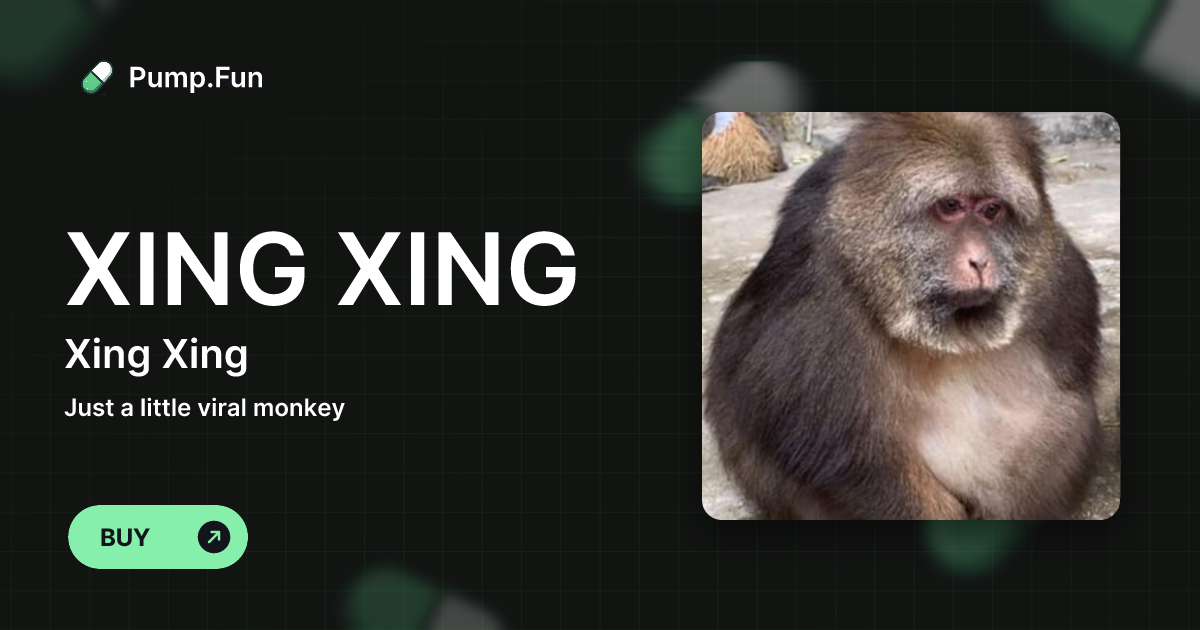 Xing Xing (XING XING) - Pump