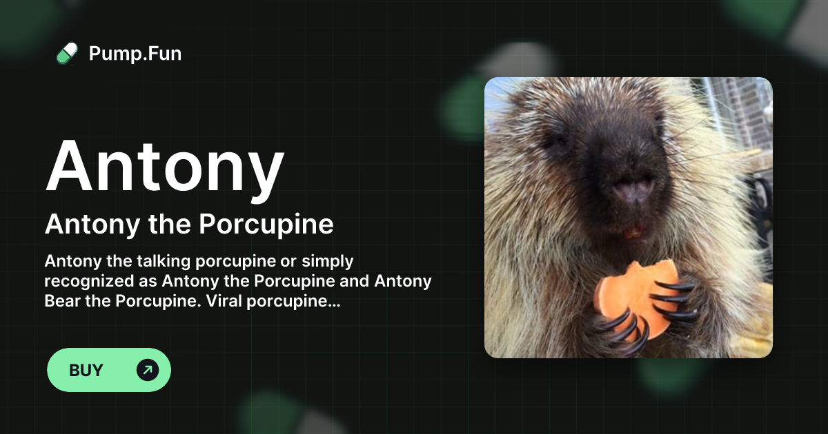 Antony the Porcupine (Antony) - Pump