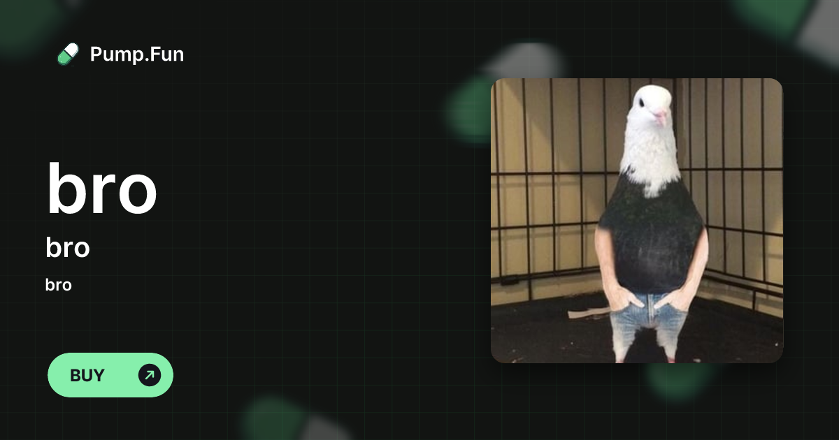bro (bro) - Pump