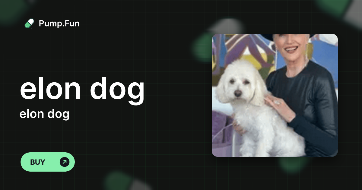 elon dog (elon dog) - Pump