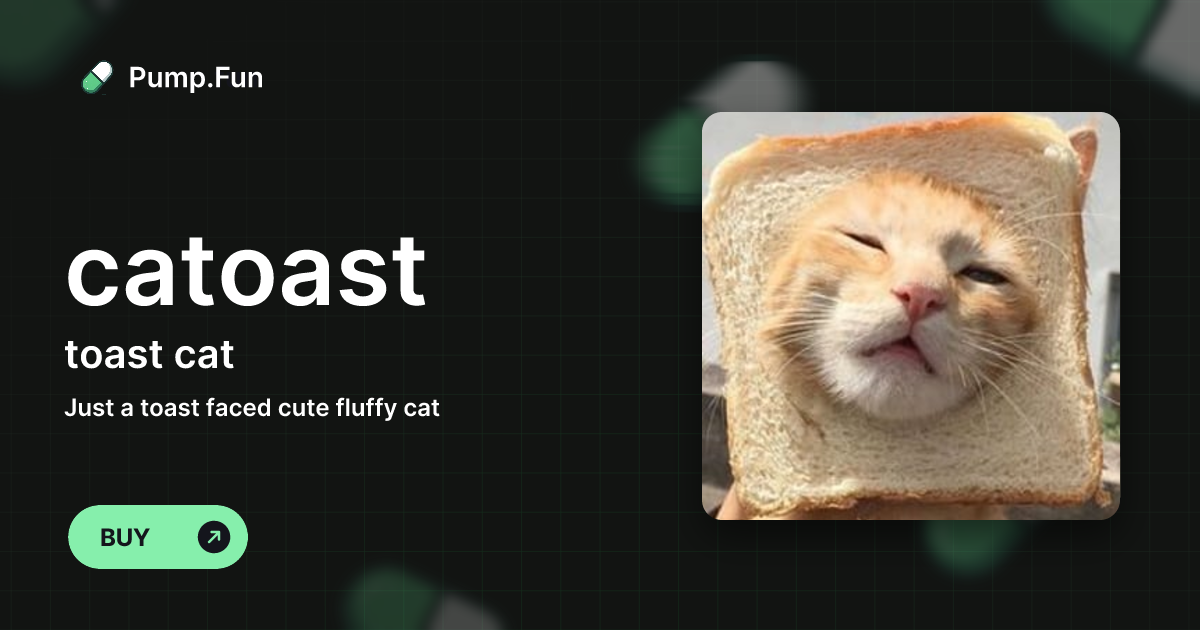 toast cat (catoast) - Pump