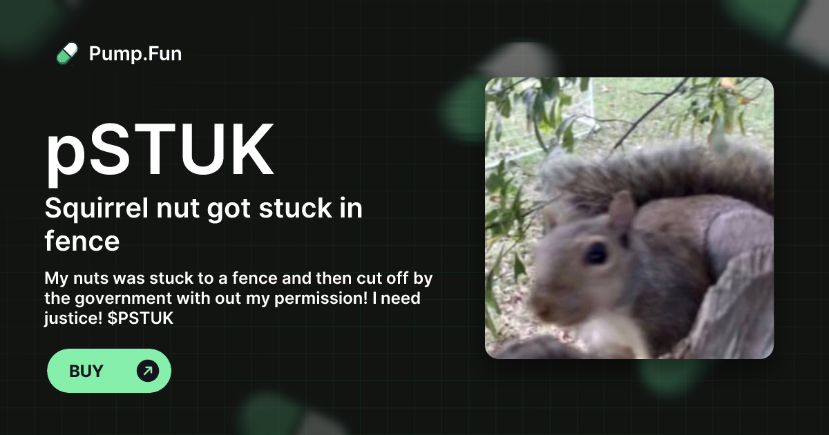 Squirrel nut got stuck in fence (pSTUK) - Pump