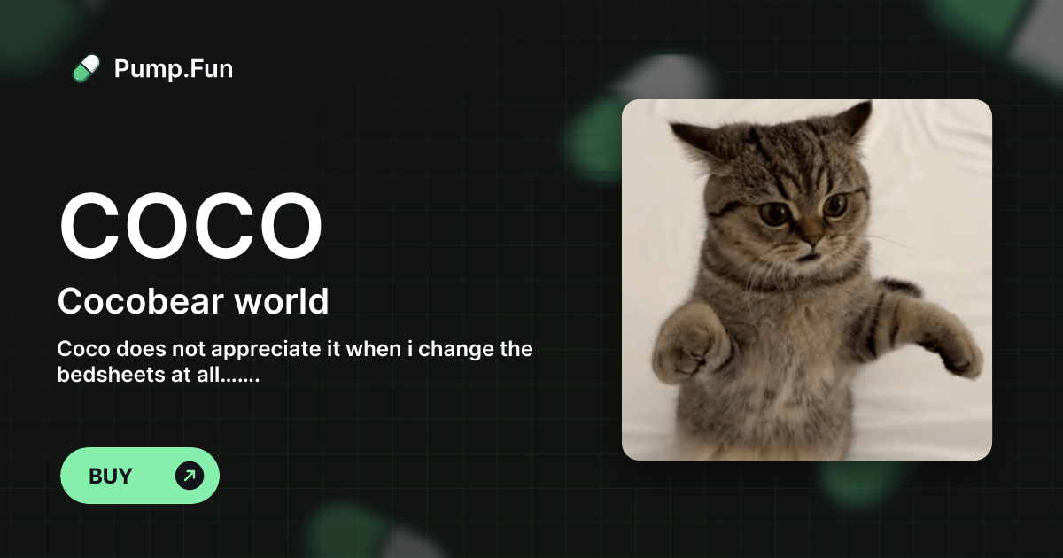 Cocobear world (COCO) - Pump