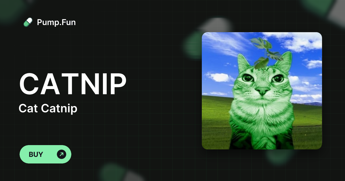 Cat Catnip (CATNIP) - Pump