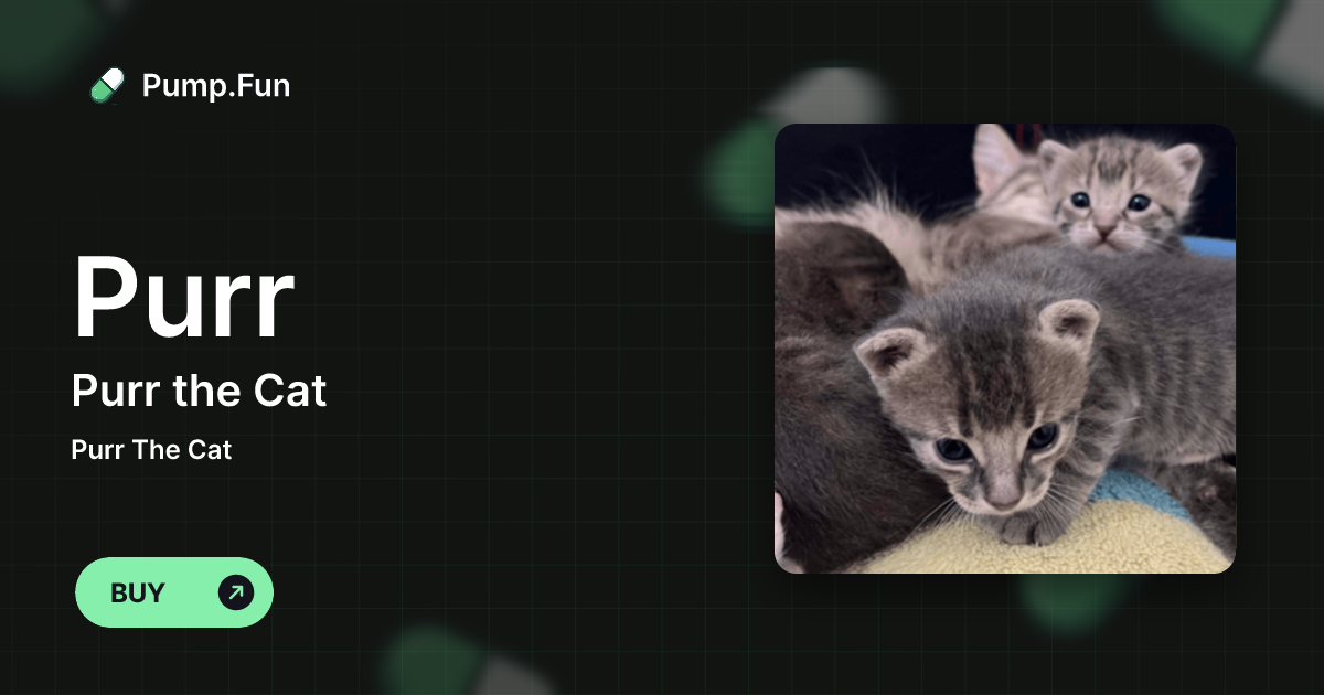 Purr the Cat (Purr) - Pump