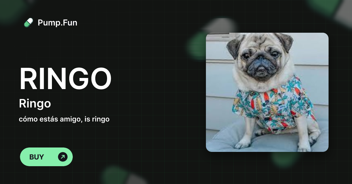 Ringo (RINGO) - Pump