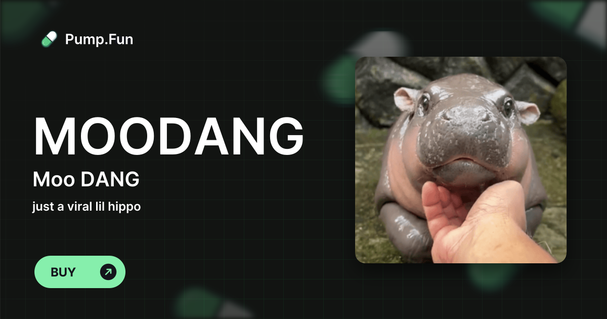Moo DANG (MOODANG) - Pump