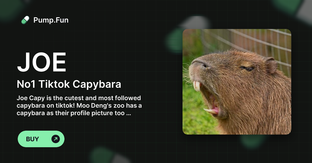No1 Tiktok Capybara (JOE) - Pump