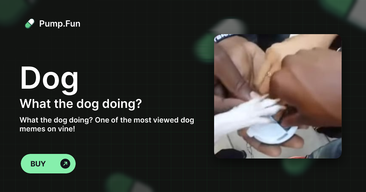 What the dog doing? (Dog ) - Pump