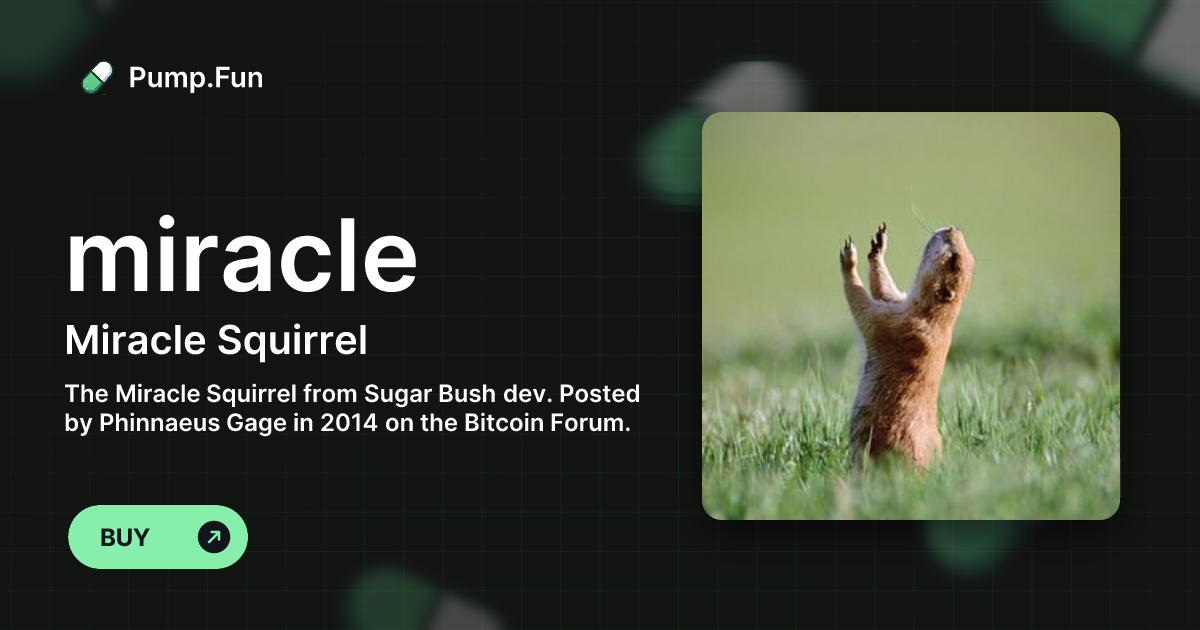 Miracle Squirrel (miracle) - Pump