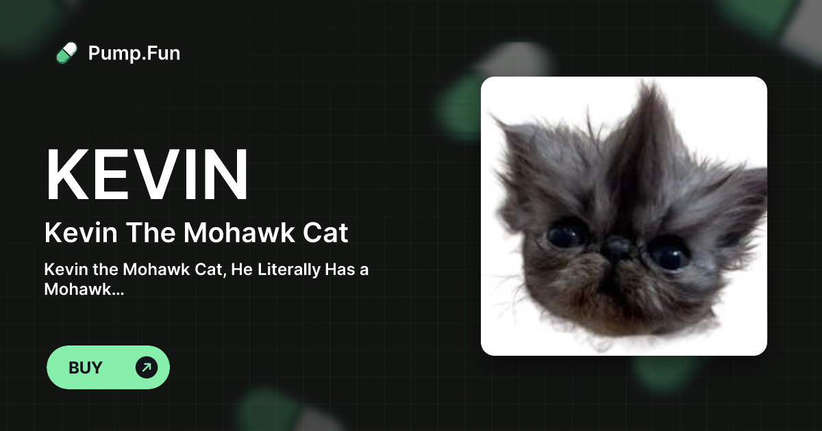 Kevin The Mohawk Cat (KEVIN) - Pump