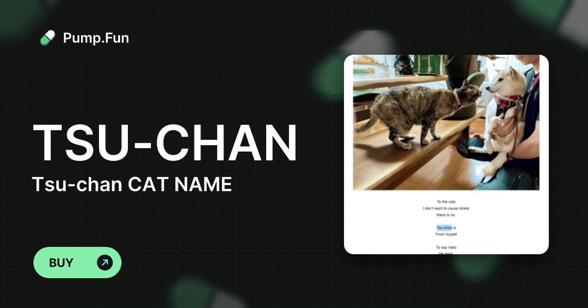 Tsu-chan CAT NAME (TSU-CHAN) - Pump