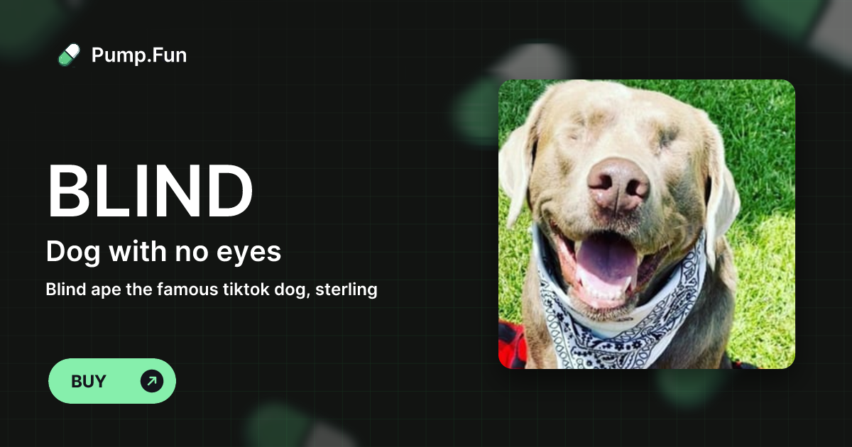 Dog with no eyes (BLIND) - Pump