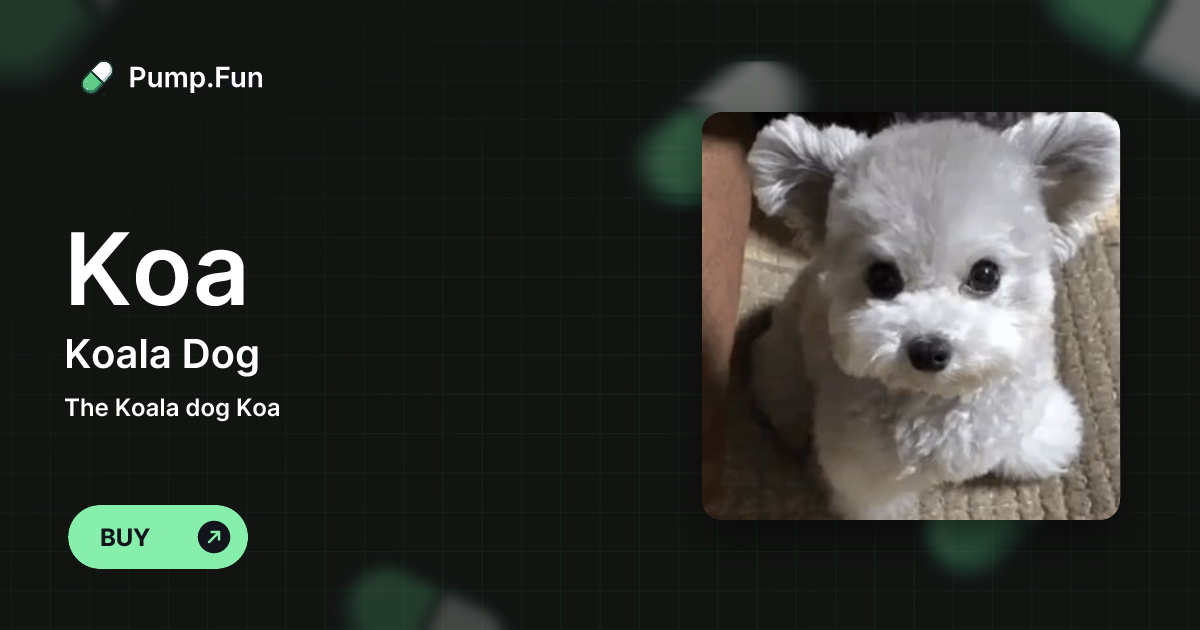 Koala Dog (Koa) - Pump
