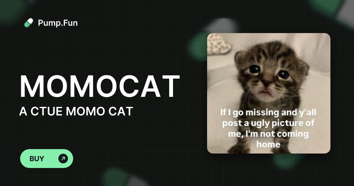 A CTUE MOMO CAT (MOMOCAT) - Pump