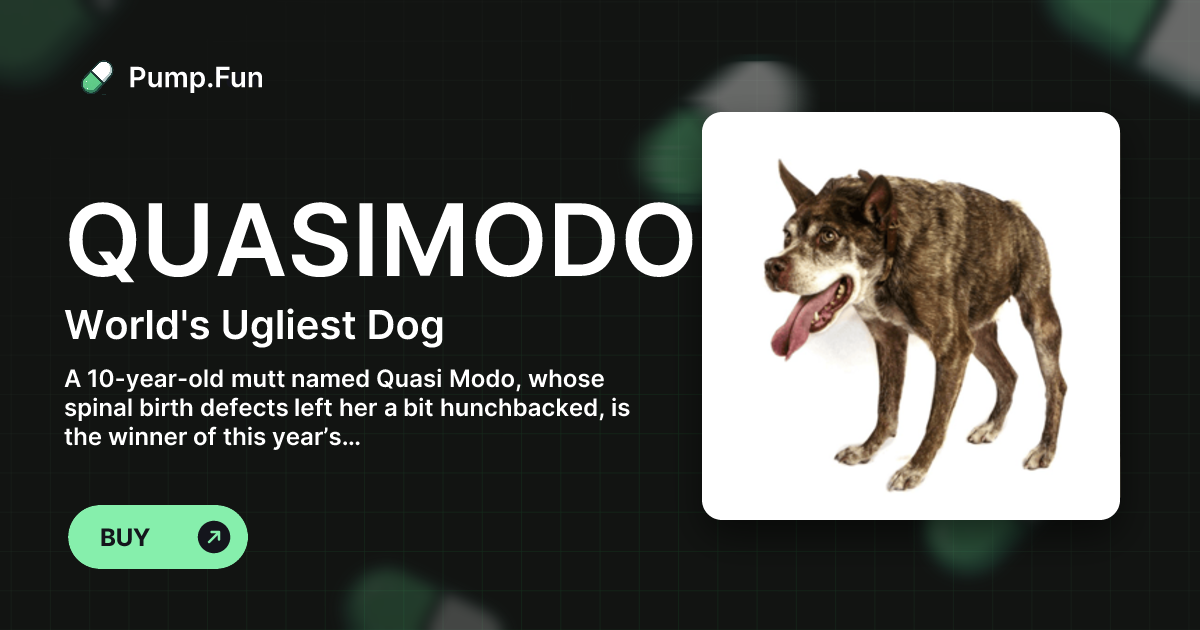 World's Ugliest Dog (QUASIMODO) - Pump