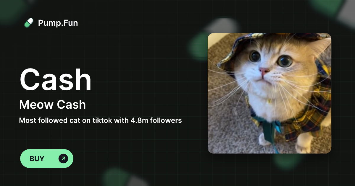 Meow Cash (Cash) - Pump