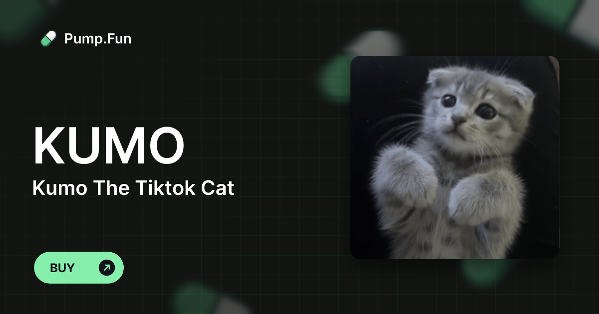 Kumo The Tiktok Cat (KUMO) - Pump