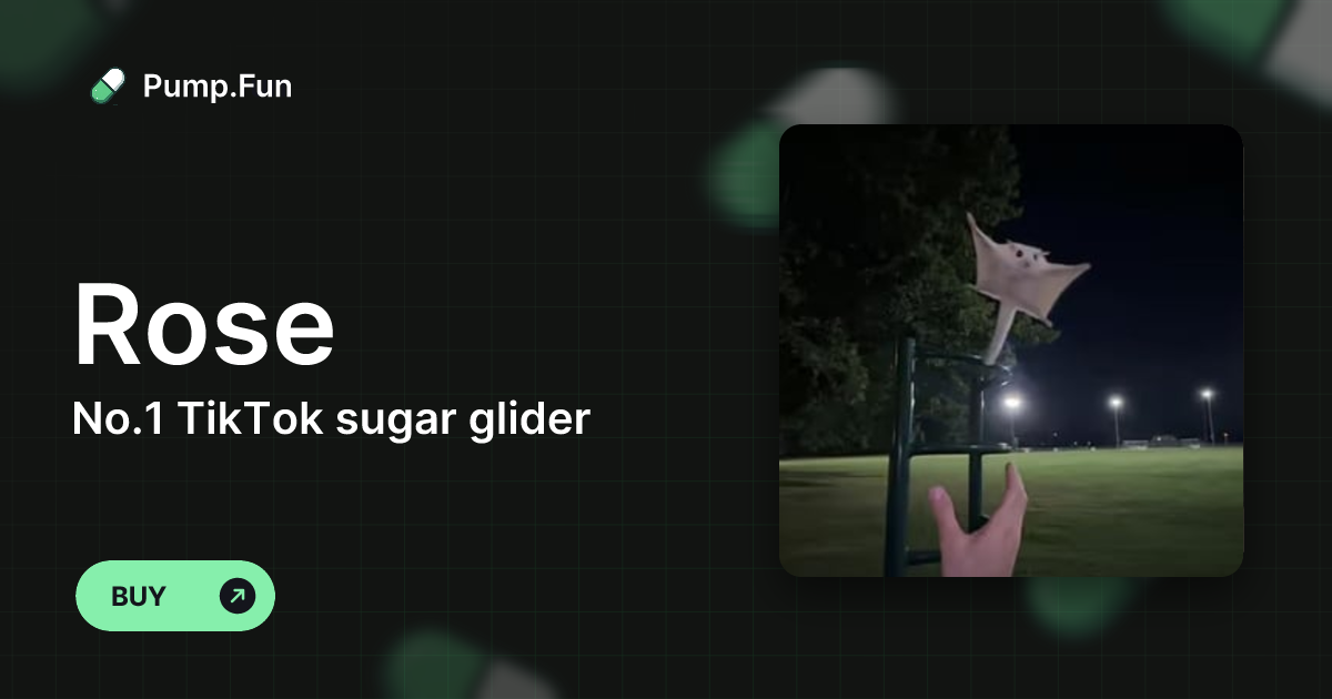 No.1 TikTok sugar glider (Rose) - Pump