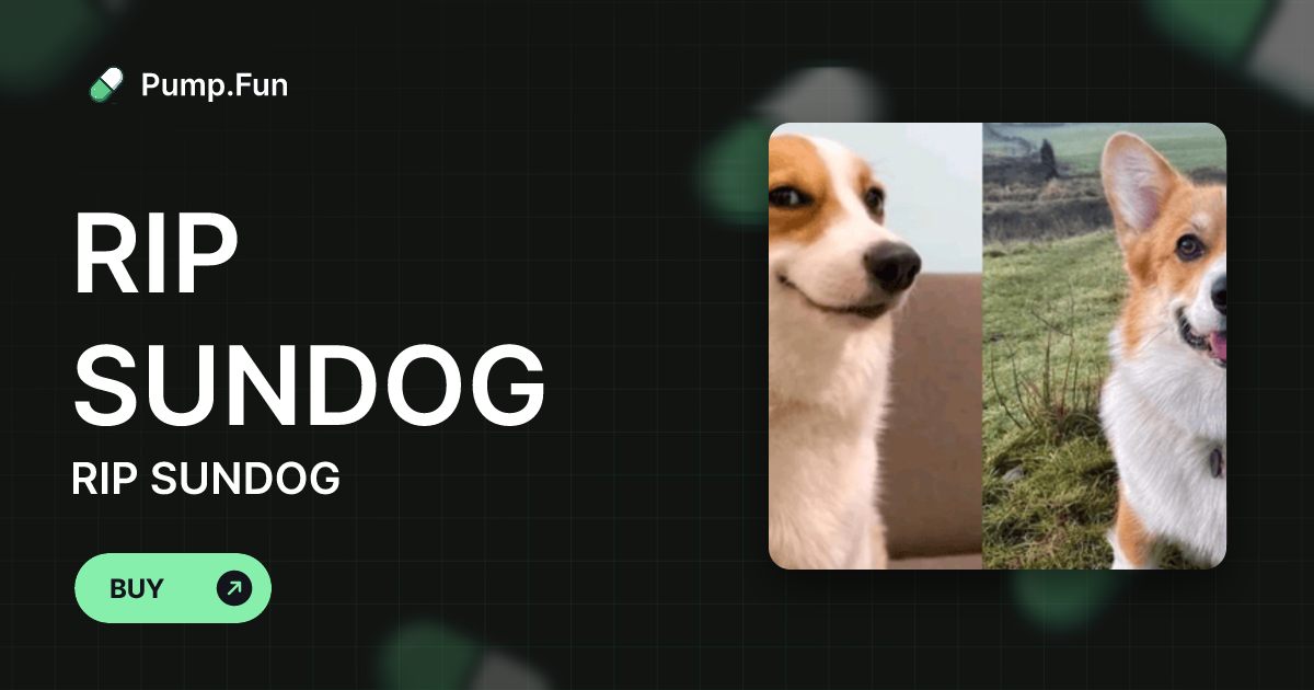 RIP SUNDOG (RIP SUNDOG) - Pump