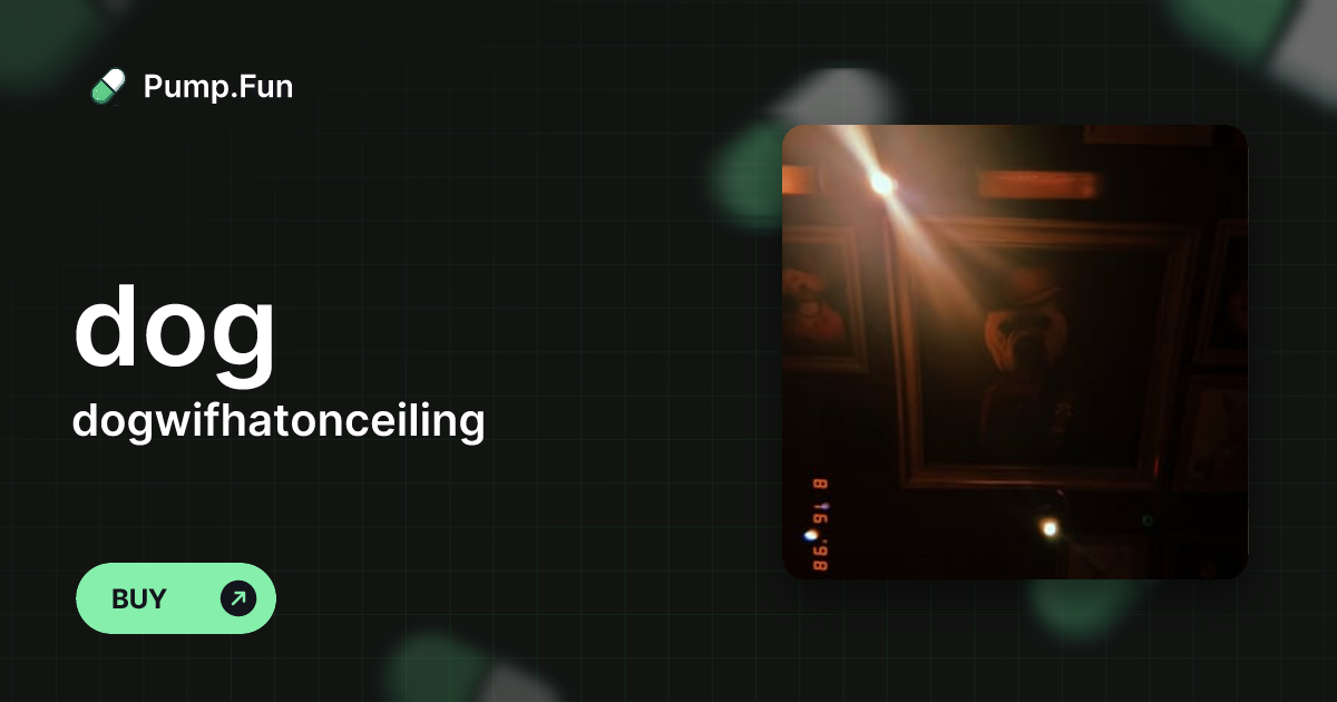 dogwifhatonceiling (dog) - Pump