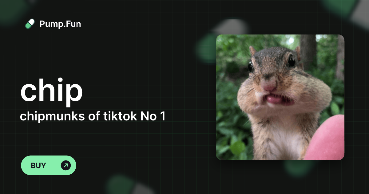 chipmunks of tiktok No 1 (chip) - Pump