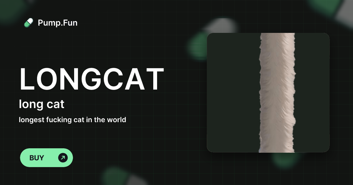 long cat (LONGCAT) - Pump
