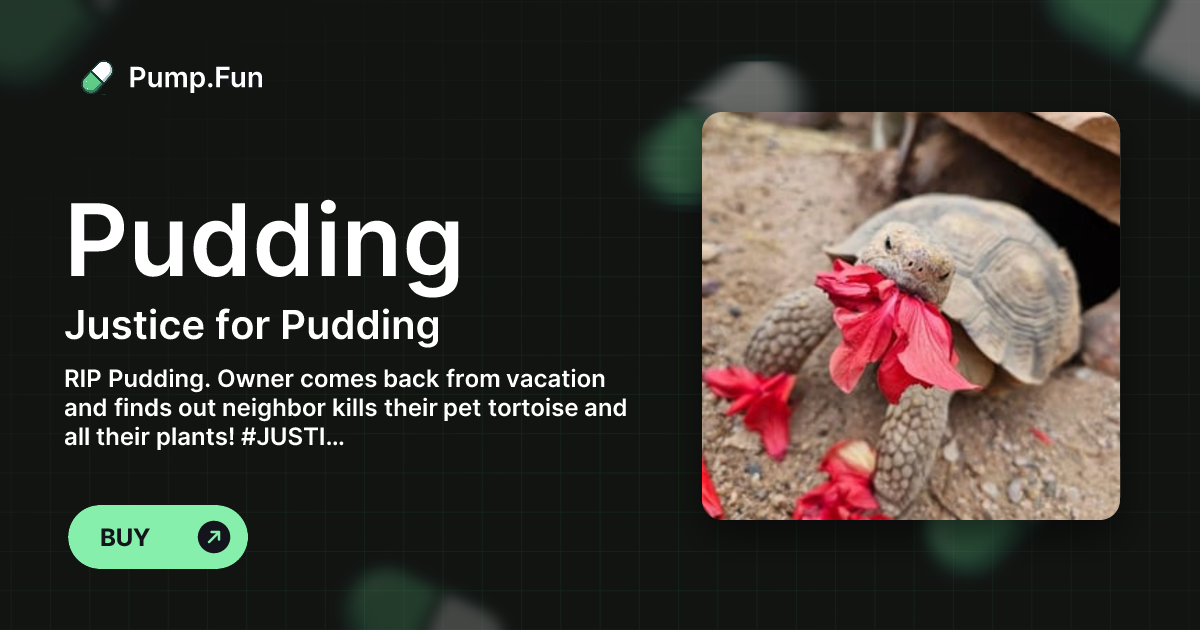 Justice for Pudding (Pudding) - Pump